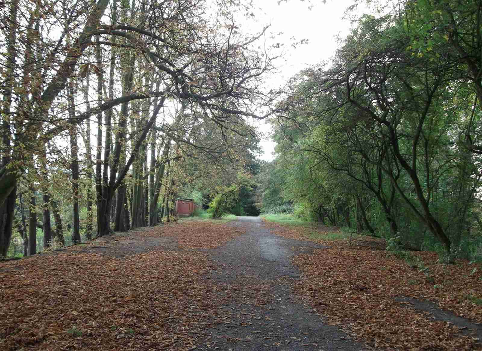 Best 5K Runs in London for Runners of All Levels - Resources For ...
